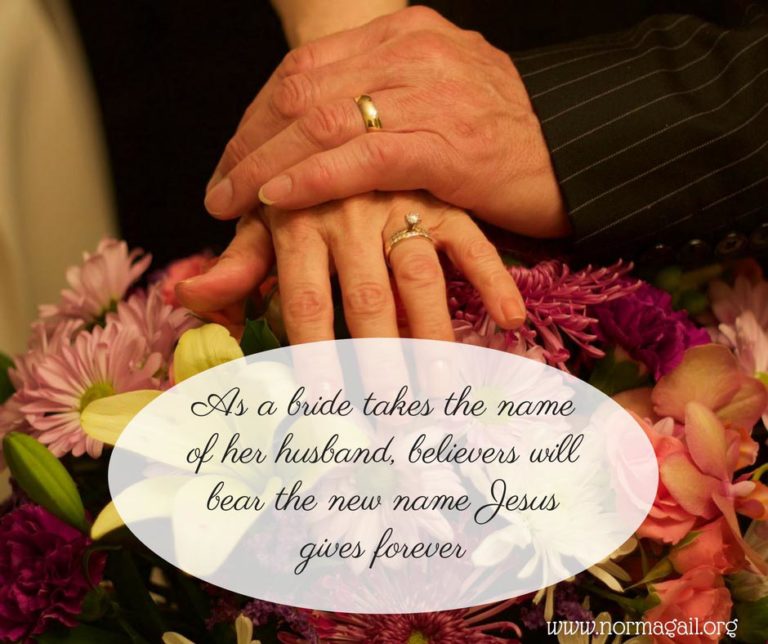 The Bridegroom and His Bride - A 2MefromHim Devotional - Norma Gail