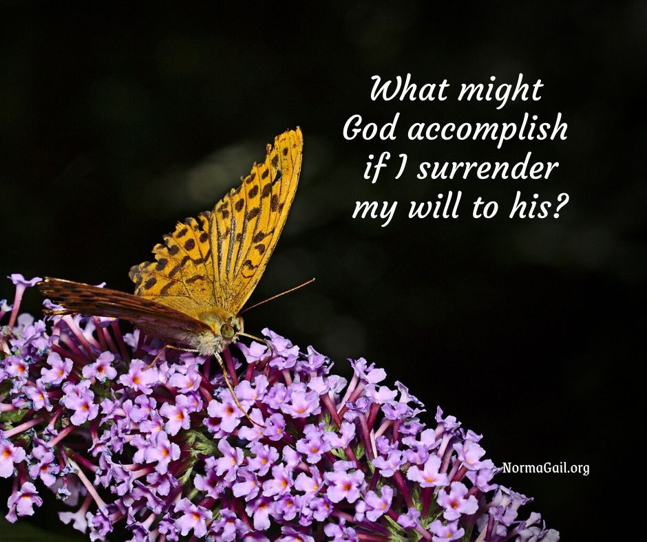 Sweet Surrender: Learning to Trust God - Norma Gail